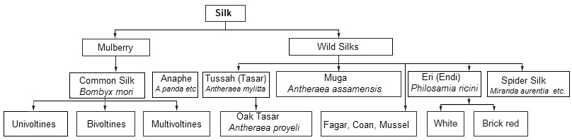 Different Types of Silk Fibres - Textile Learner