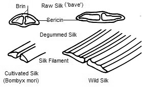 Physical, Chemical and Mechanical Properties of Silk Fiber