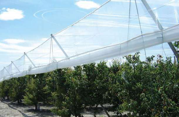 Agro Textiles: Properties, Manufacturing and Applications - Textile Learner
