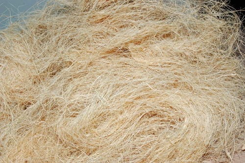 Coconut / Coir Fiber: Properties, Manufacturing Process and Uses