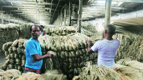 Jute Industry in India - An Overview - Textile Learner
