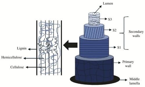 To Improve the Wettability and Dyeability of Polyester and Polyester ...