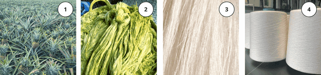 Pineapple Leaf Fibre and Its Application in Automotive Industry