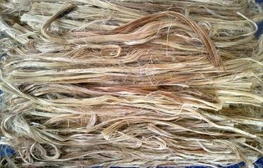 Kenaf Fiber: Properties, Cultivation, Production, Uses and Advantages